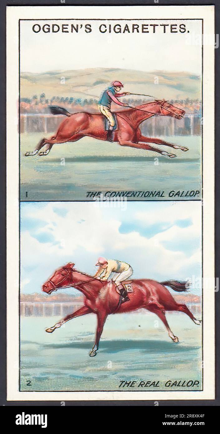 The Horses Gallop - Vintage Cigarette Card Stock Photo - Alamy
