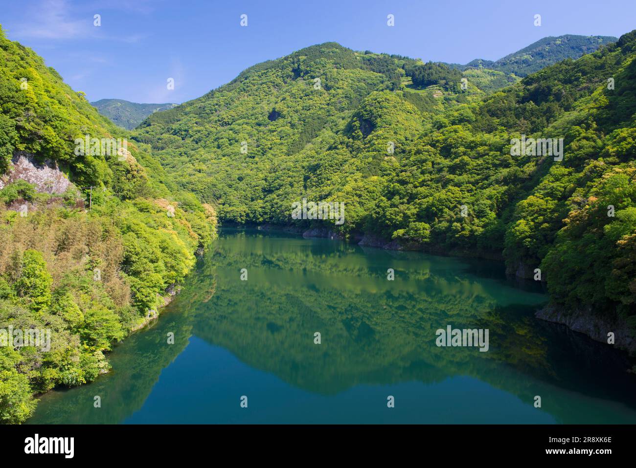 Niyodo kochi hi-res stock photography and images - Alamy