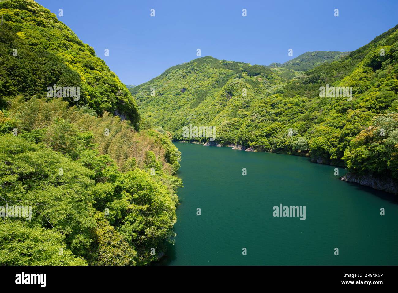 Niyodo kochi hi-res stock photography and images - Alamy