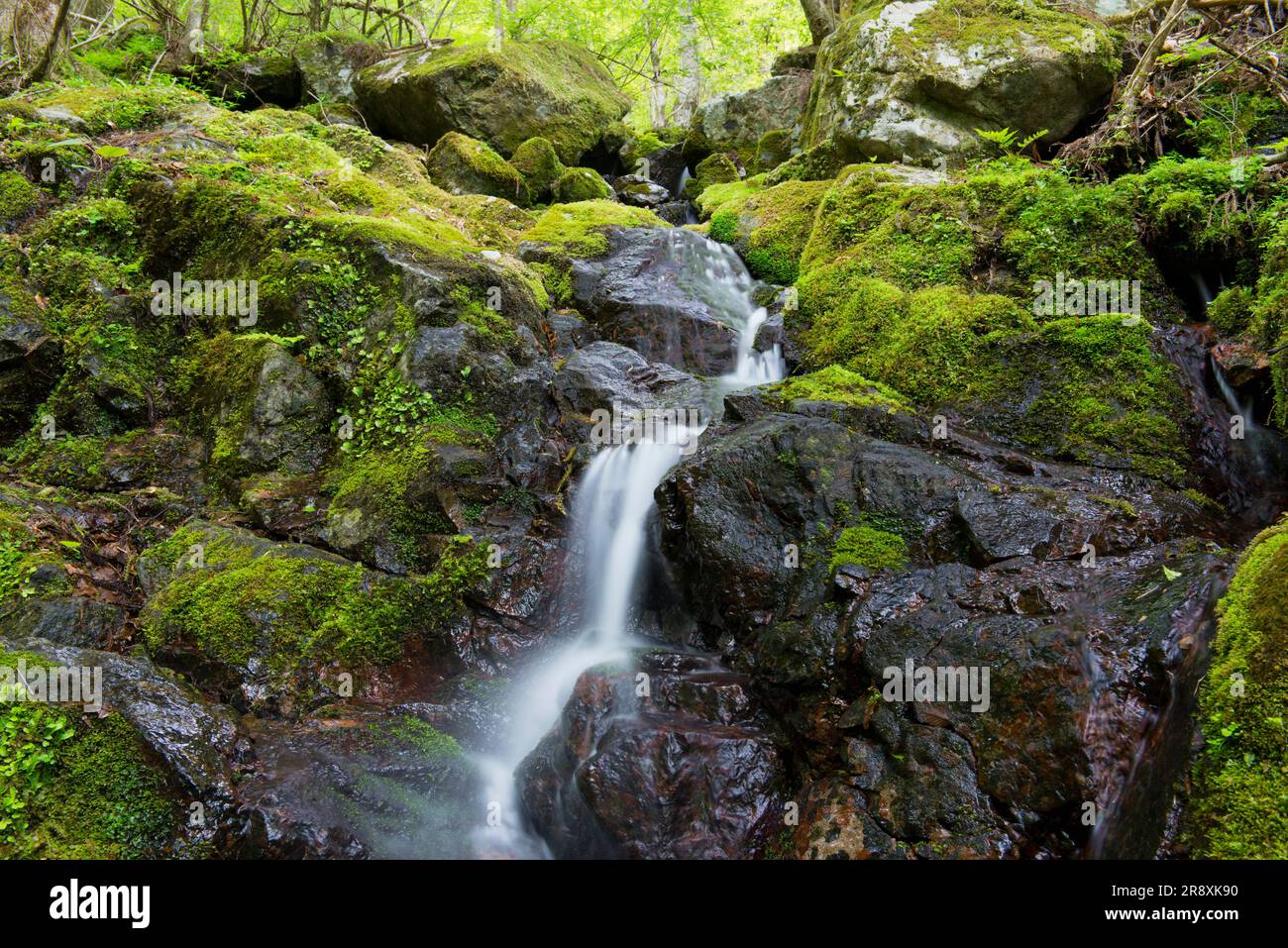 Shimanto River head stream Stock Photo - Alamy