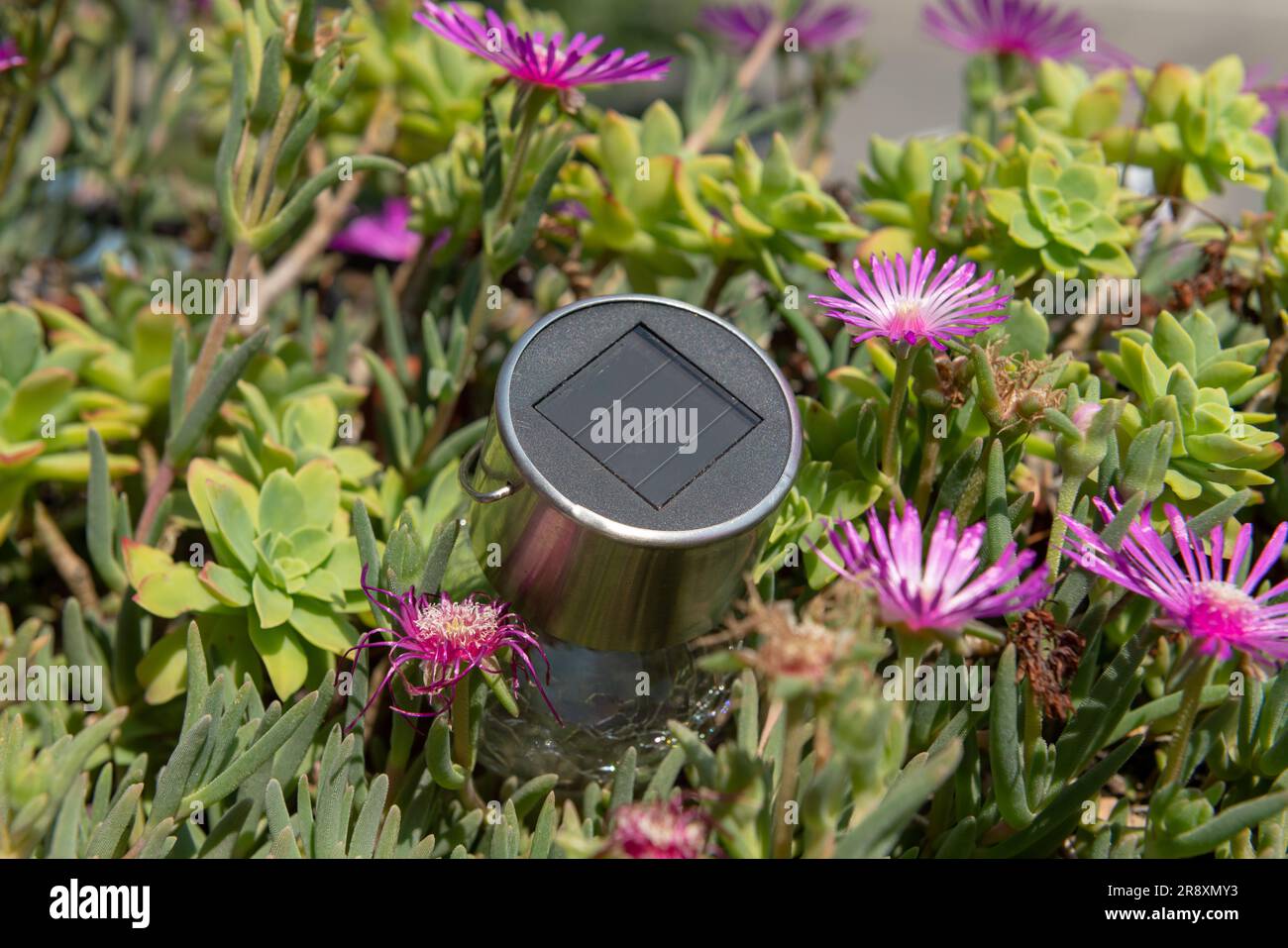 solar panel in flowers, concept idea about solar energy and its ...