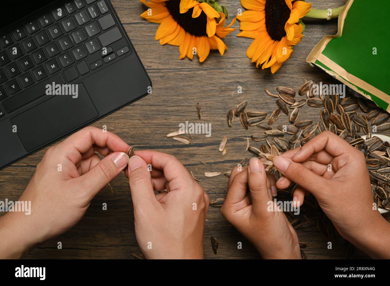 Above view of two people eating sunflower seeds at working desk ...