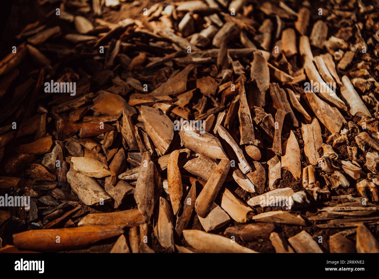 Macedonian folklore hi-res stock photography and images - Alamy