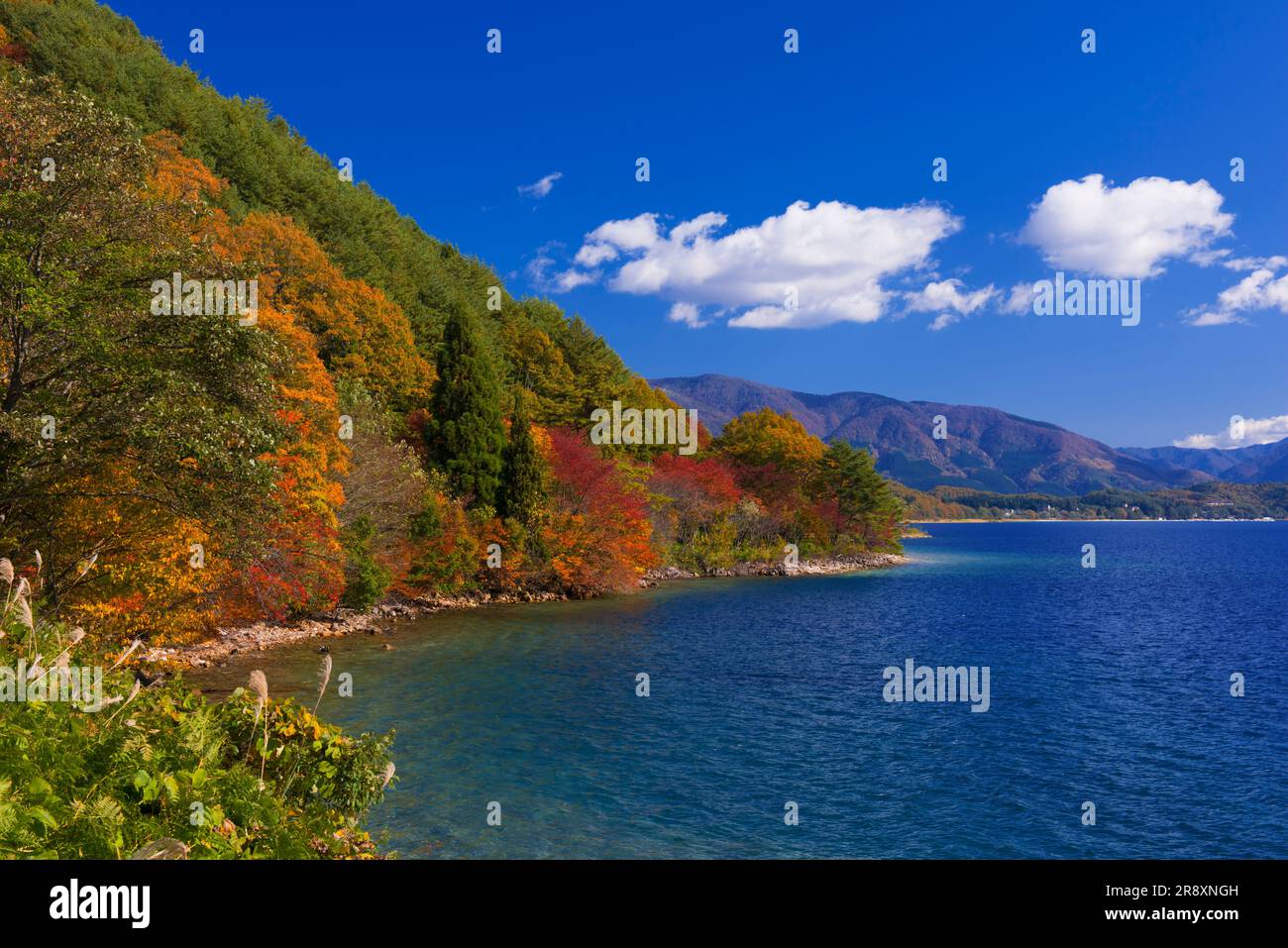 Lake Tazawa in Autumn Stock Photo - Alamy