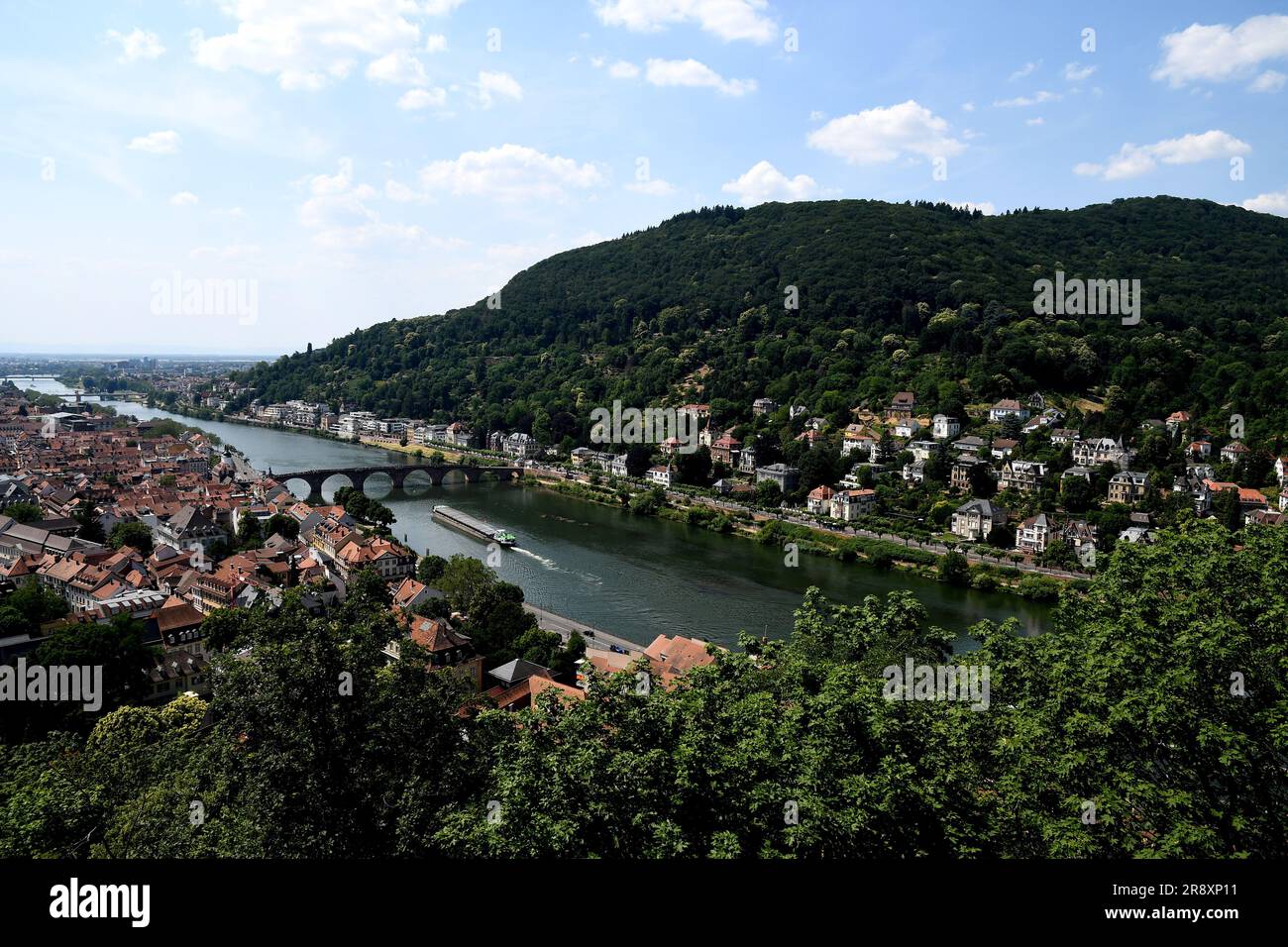 Heidelbeerg castle hi-res stock photography and images - Alamy