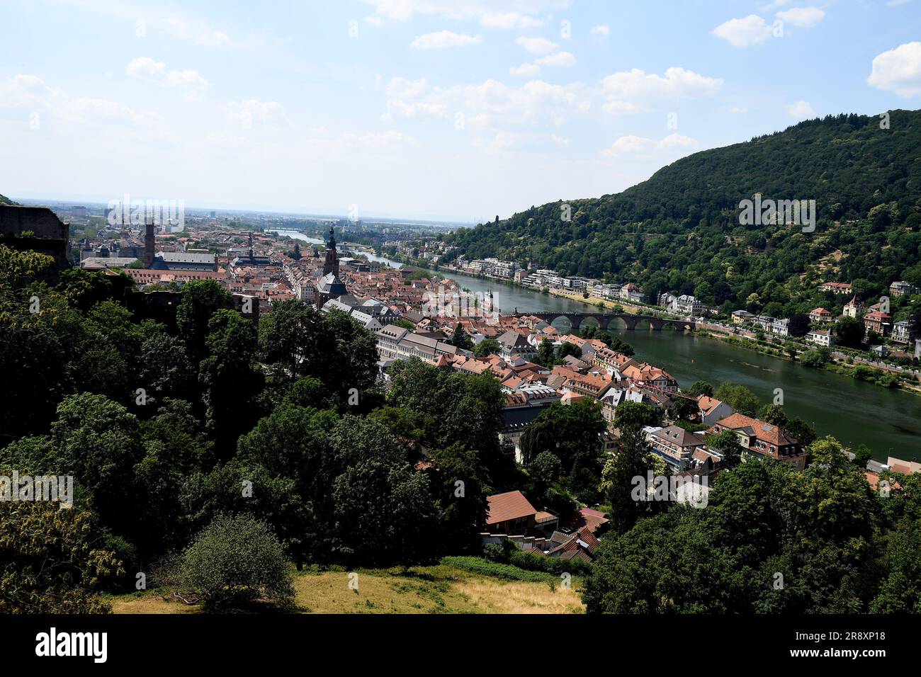 Heidelbeerg castle hi-res stock photography and images - Alamy