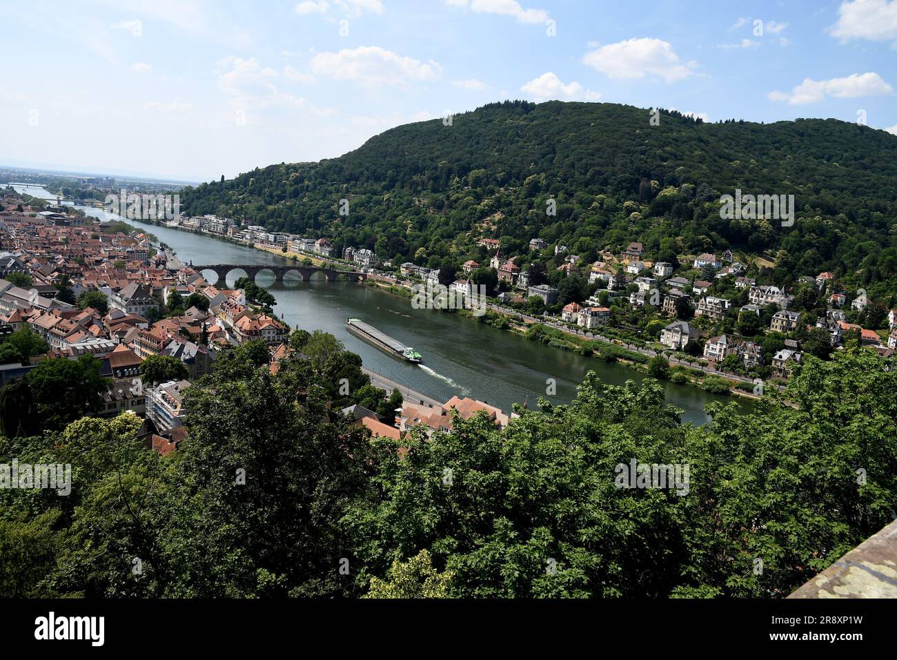Heidelbeerg castle hi-res stock photography and images - Alamy