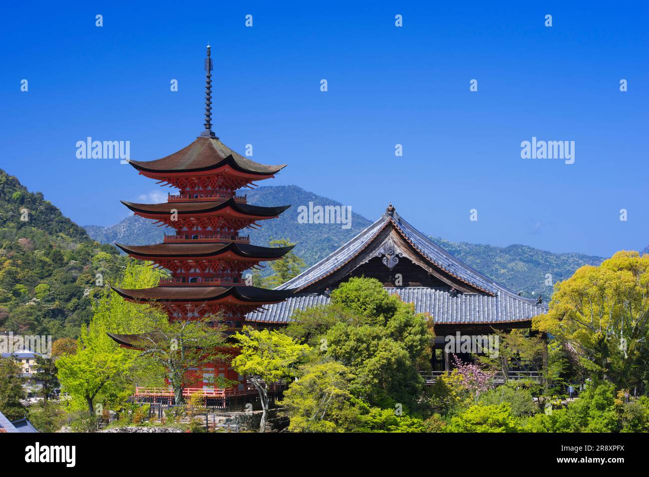 A five story pagoda at Itsukushima Shrine Stock Photo - Alamy