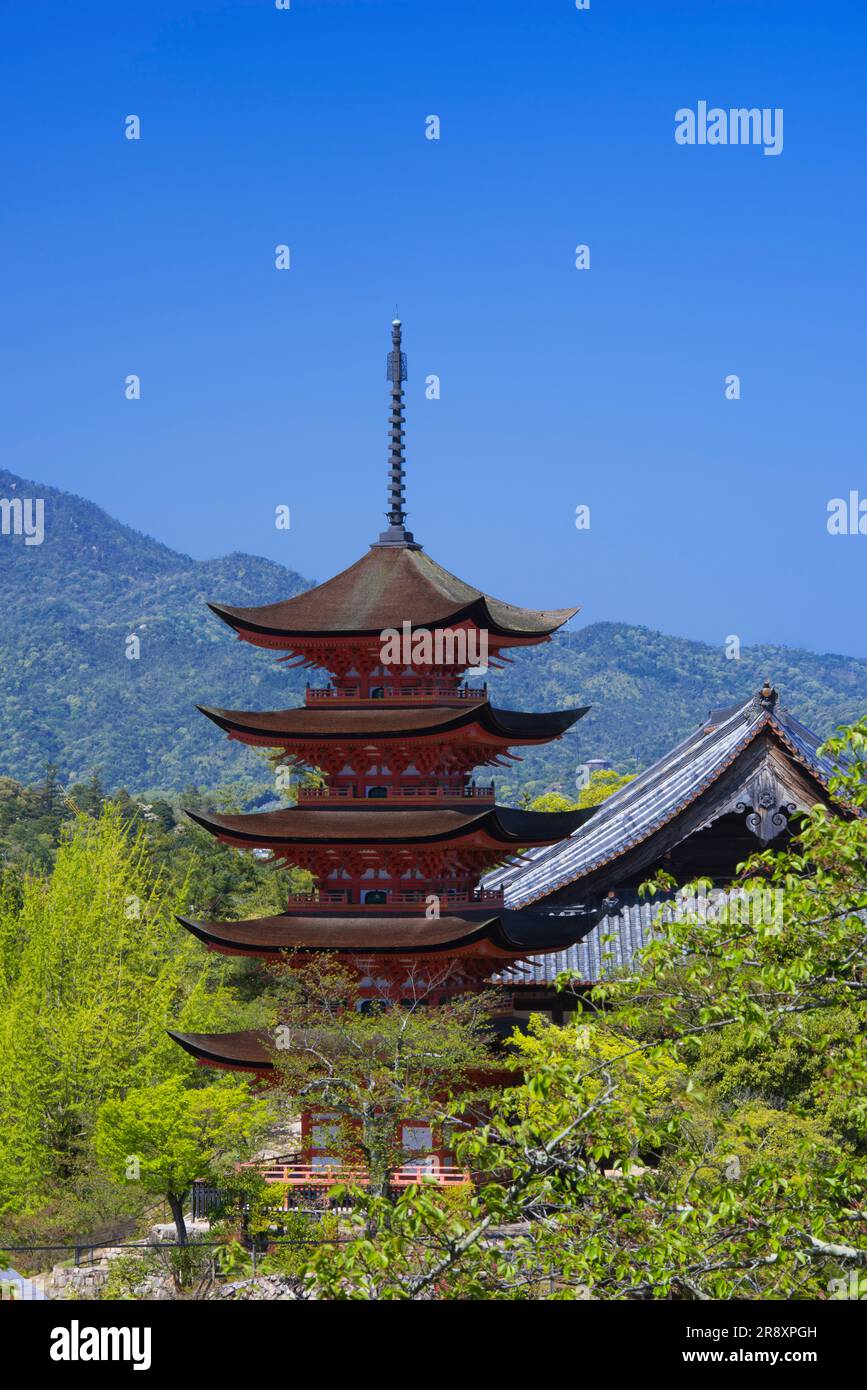 A five story pagoda at Itsukushima Shrine Stock Photo - Alamy