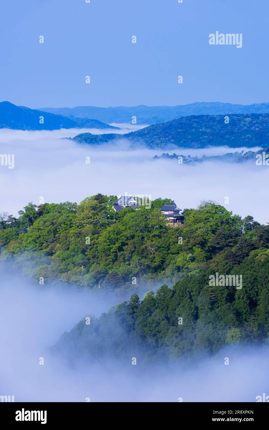 Bicchu Matsuyama Castle and Sea of Clouds Stock Photo - Alamy