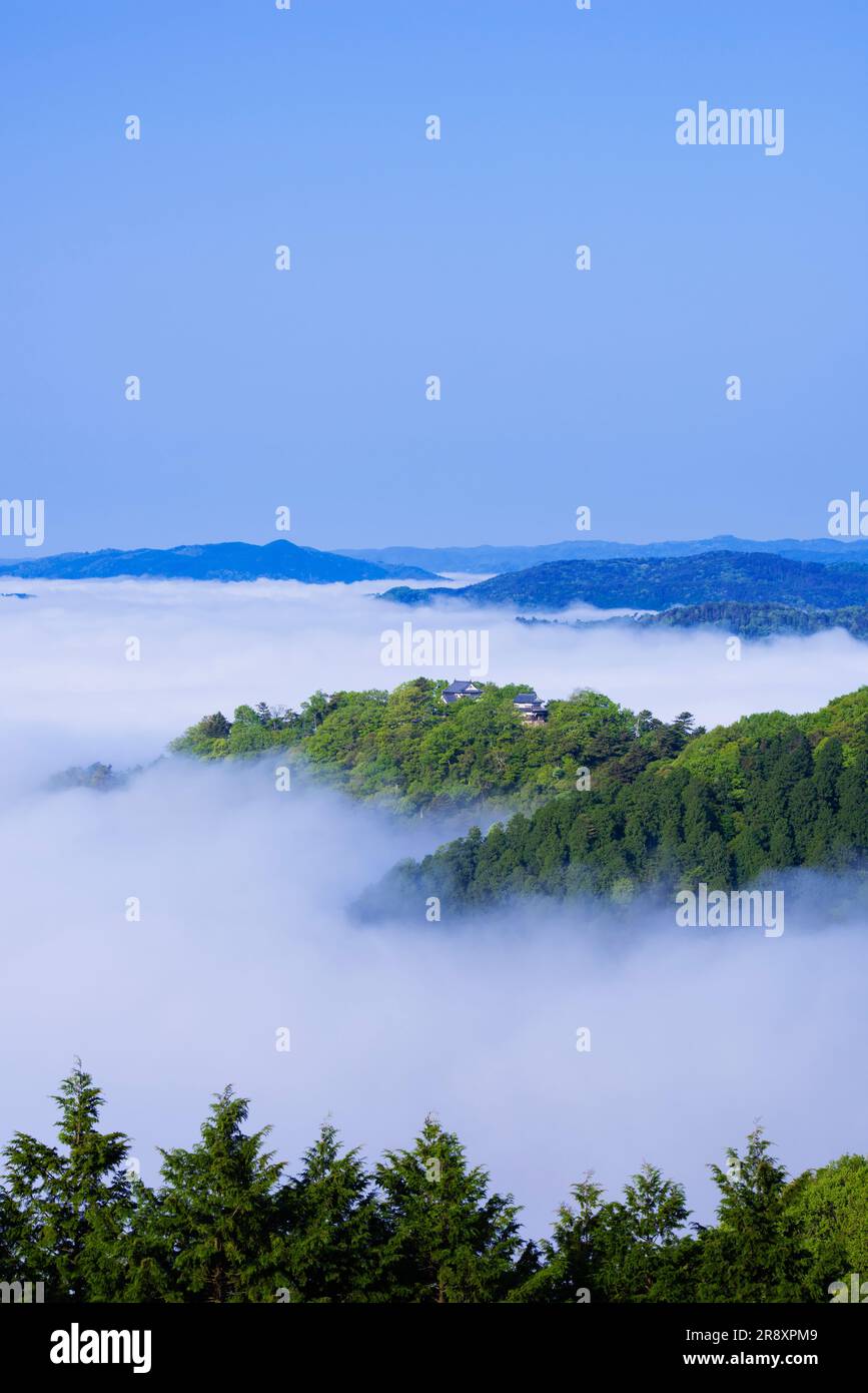 Bicchu Matsuyama Castle and Sea of Clouds Stock Photo - Alamy