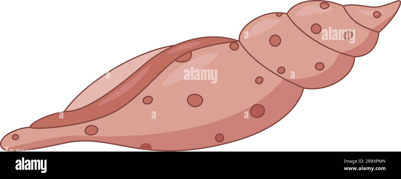 Curled shell vector vectors hi-res stock photography and images - Alamy