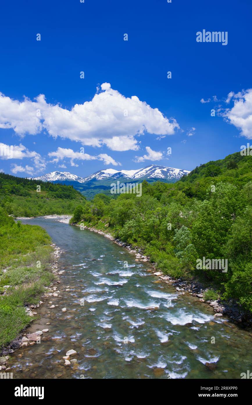 Sagae hi-res stock photography and images - Alamy