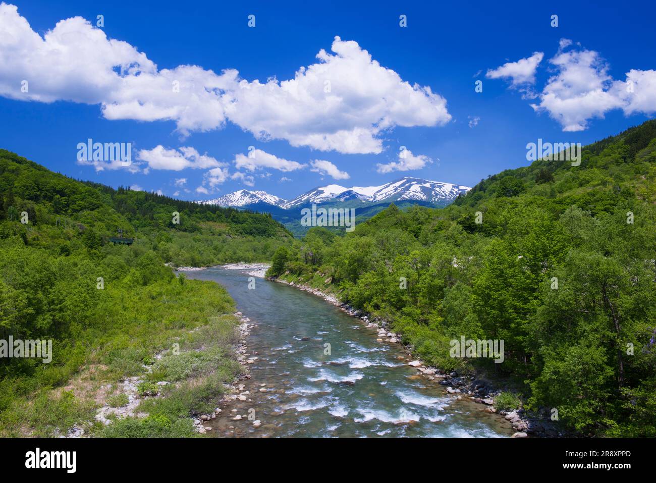 Sagae hi-res stock photography and images - Alamy