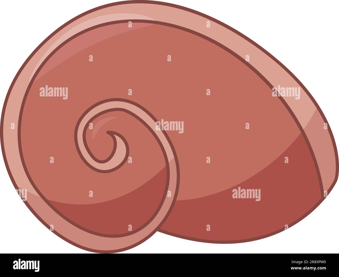 simple spiral cartoon swirling shell with stripe Stock Vector Image ...
