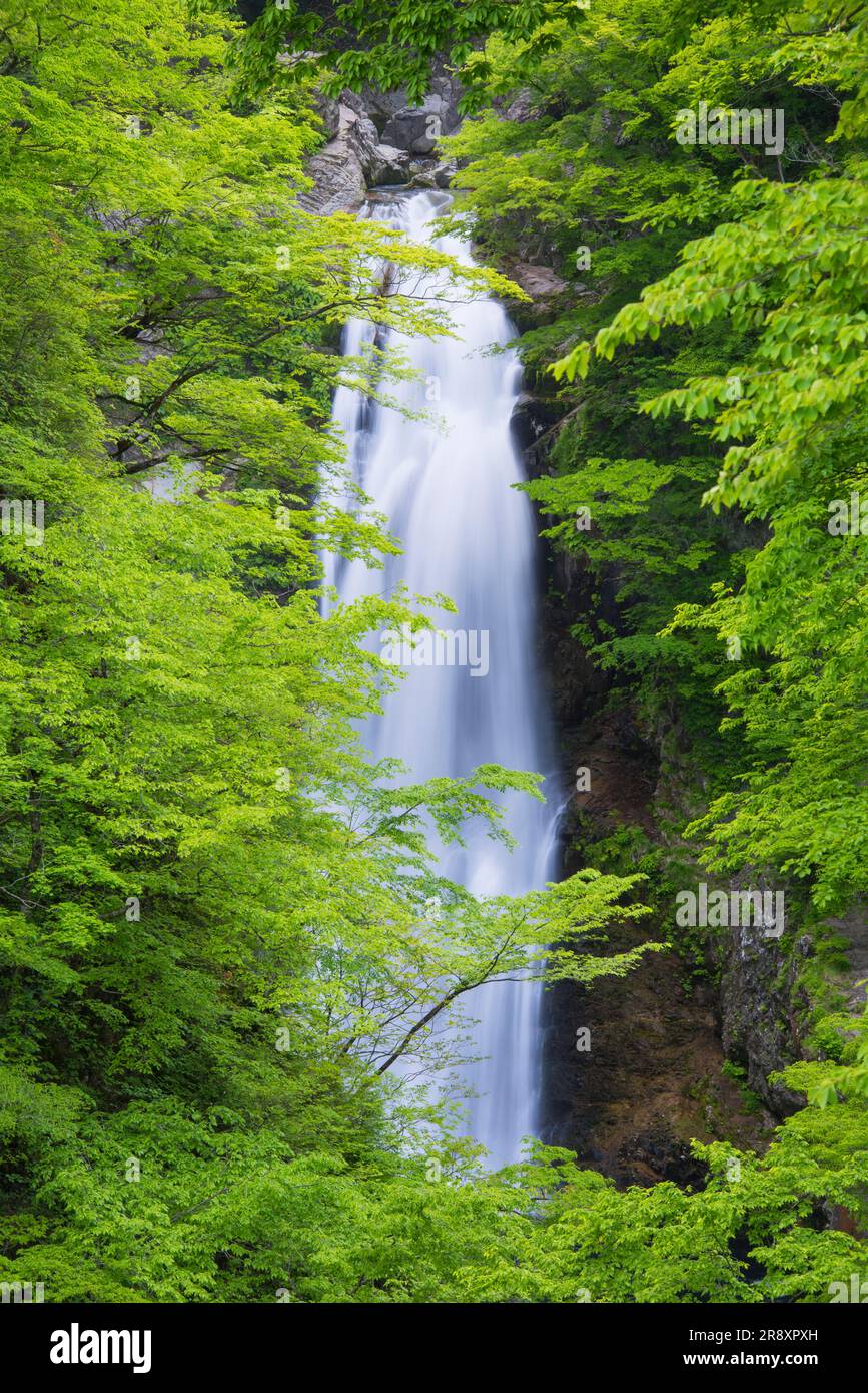 Akiu falls hi-res stock photography and images - Alamy