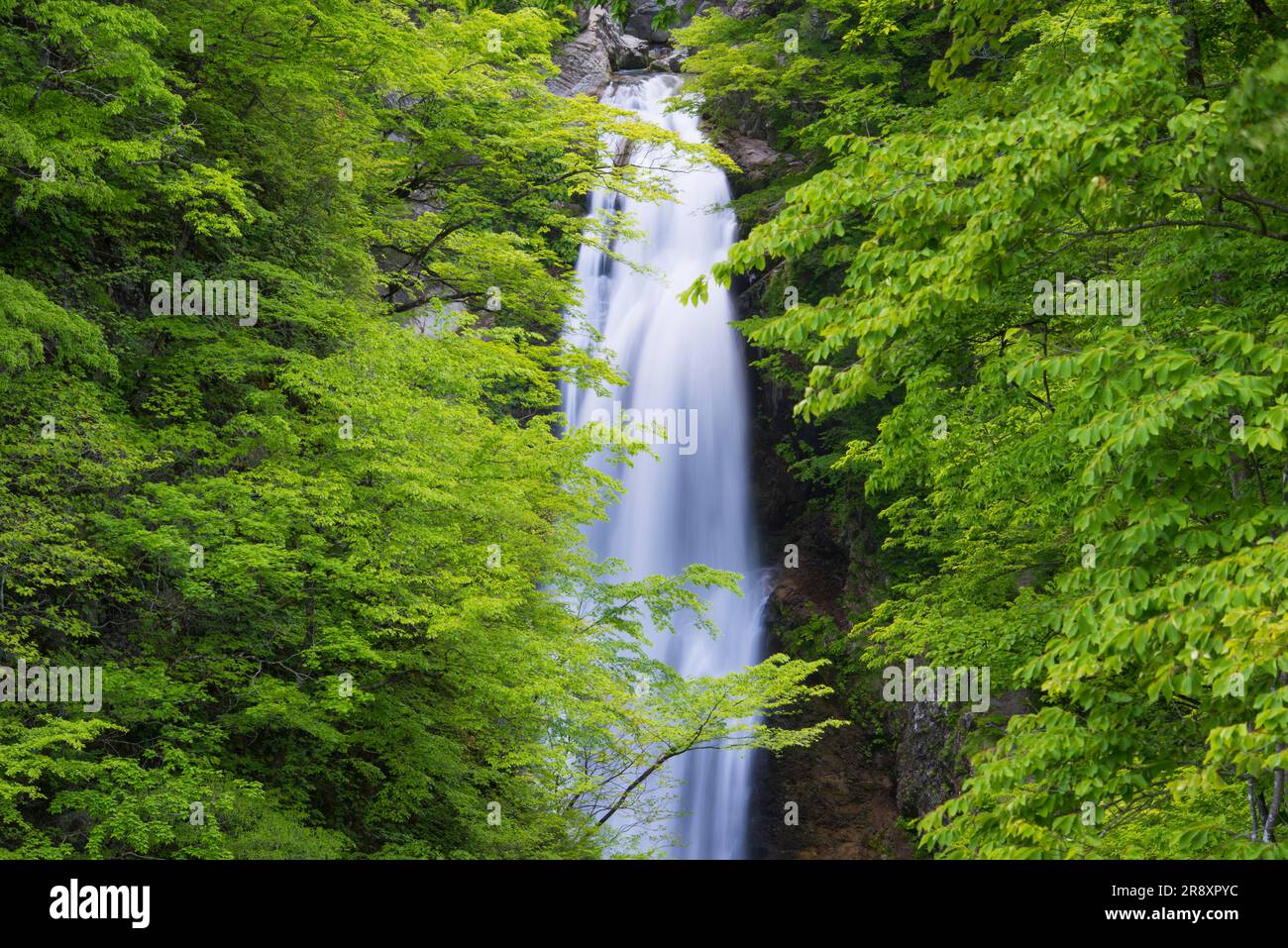 Akiu miyagi hi-res stock photography and images - Alamy
