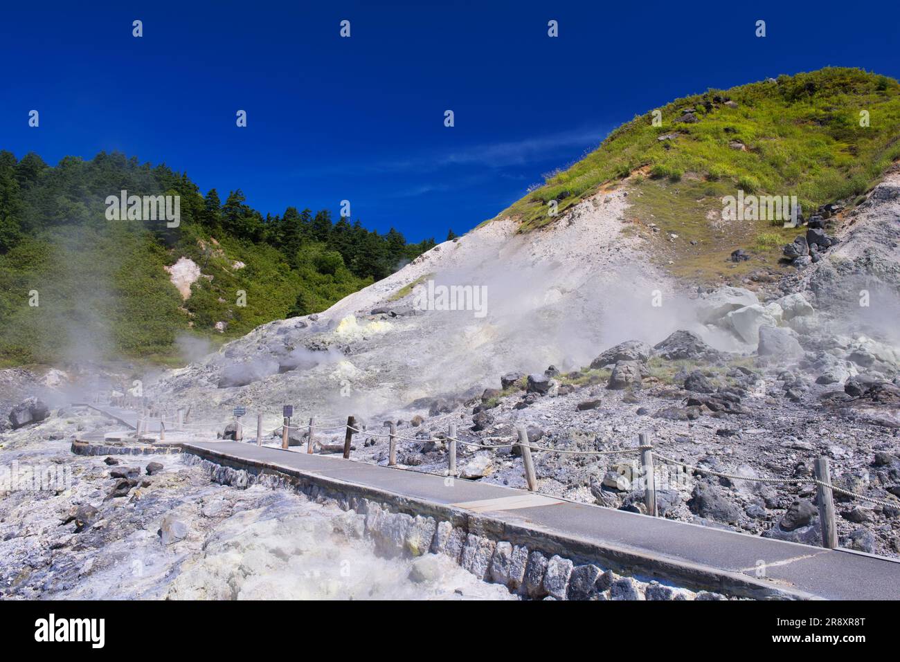 Tamagawa hi-res stock photography and images - Alamy