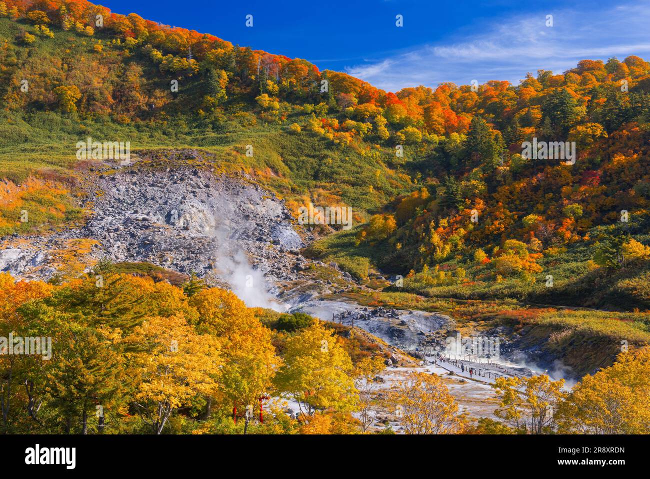Tamagawa Onsen of Autumn Leaves Stock Photo - Alamy