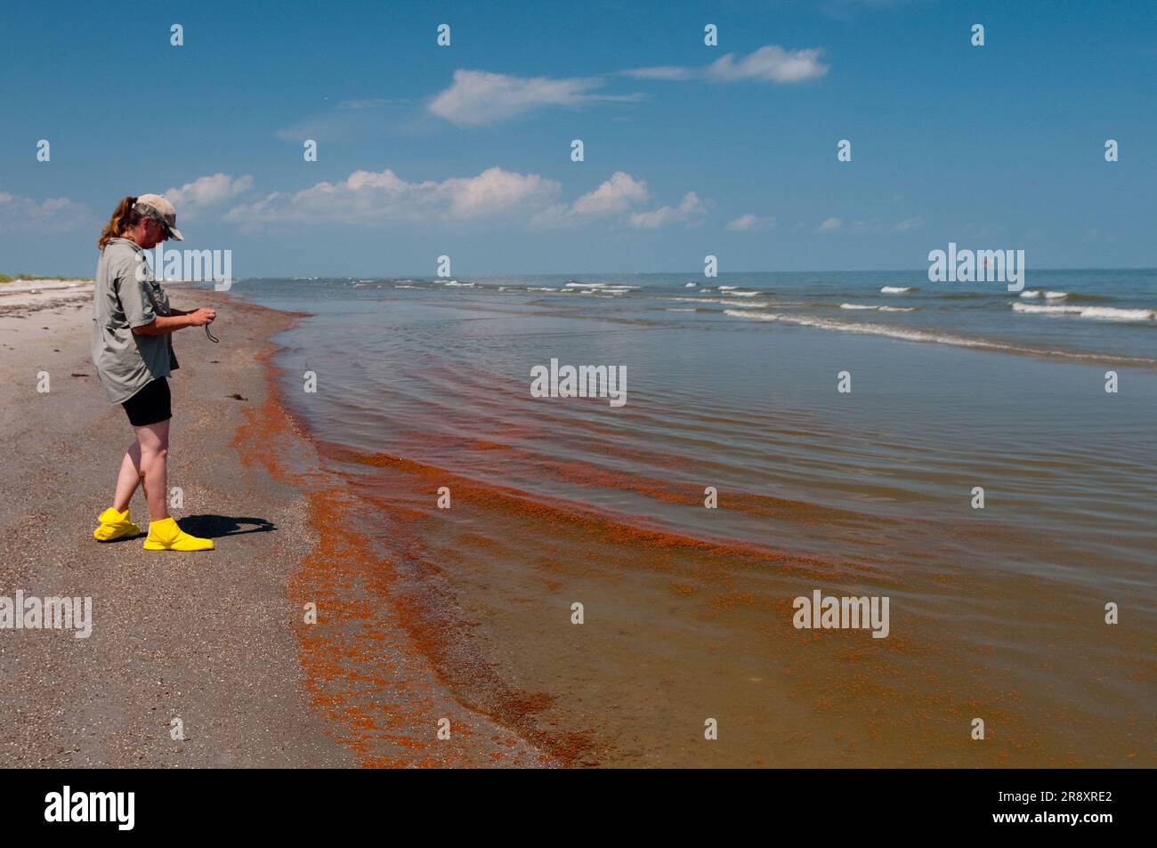 Inspections of oil impacted sites in along the beach of Grand Terre ...