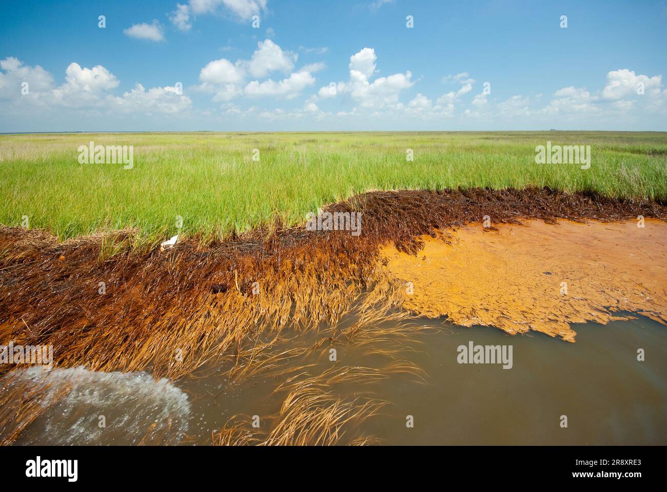 LA Dept. of Wildlife and Fisheries biologist Clint Edds monitoring oil ...
