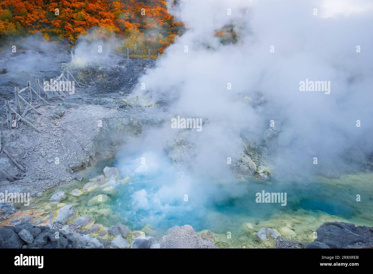 The Tamagawa hot spring source of autumn leaves Stock Photo - Alamy