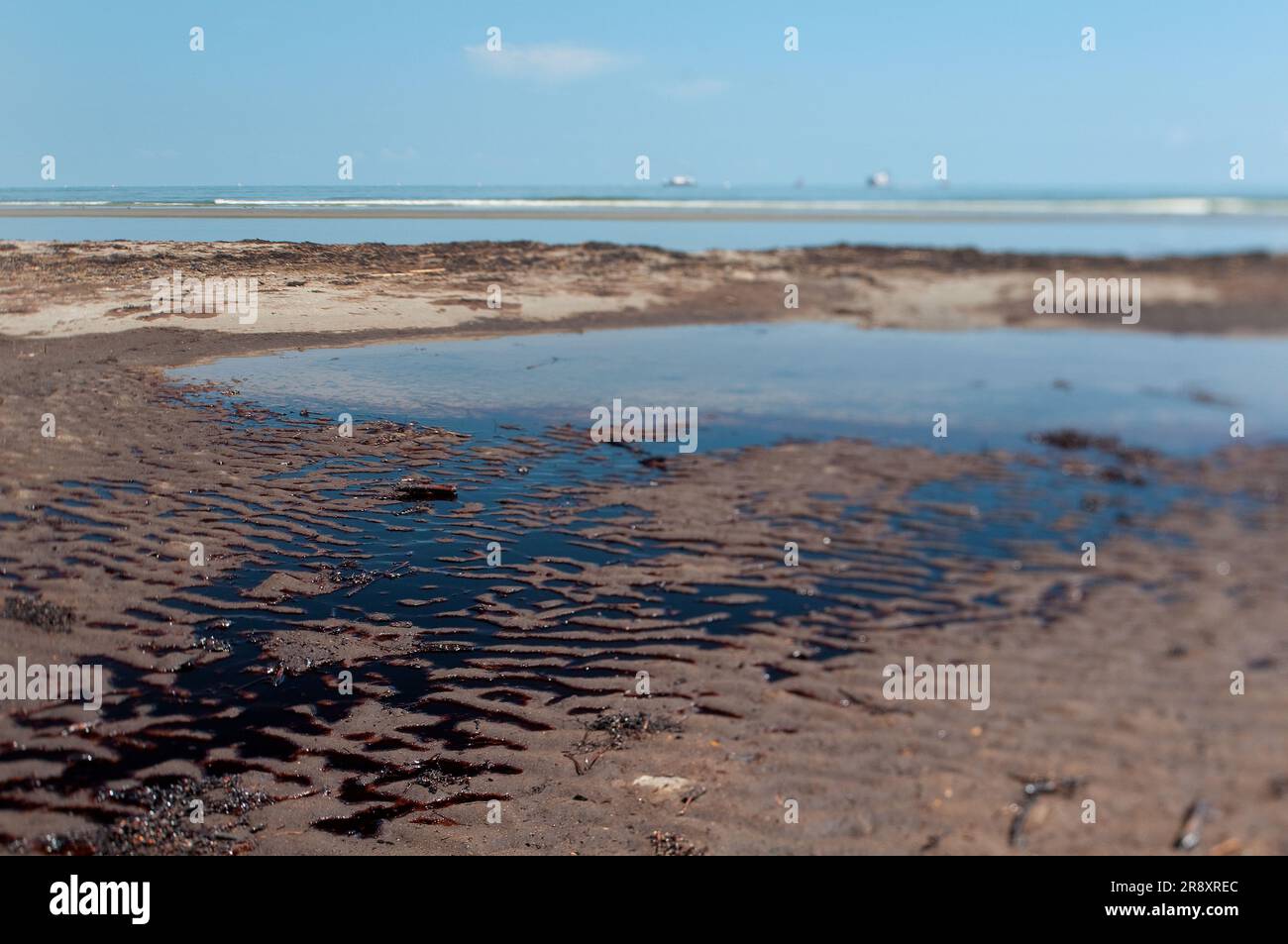 Inspections of oil impacted sites in and along the beach of Grand Terre ...
