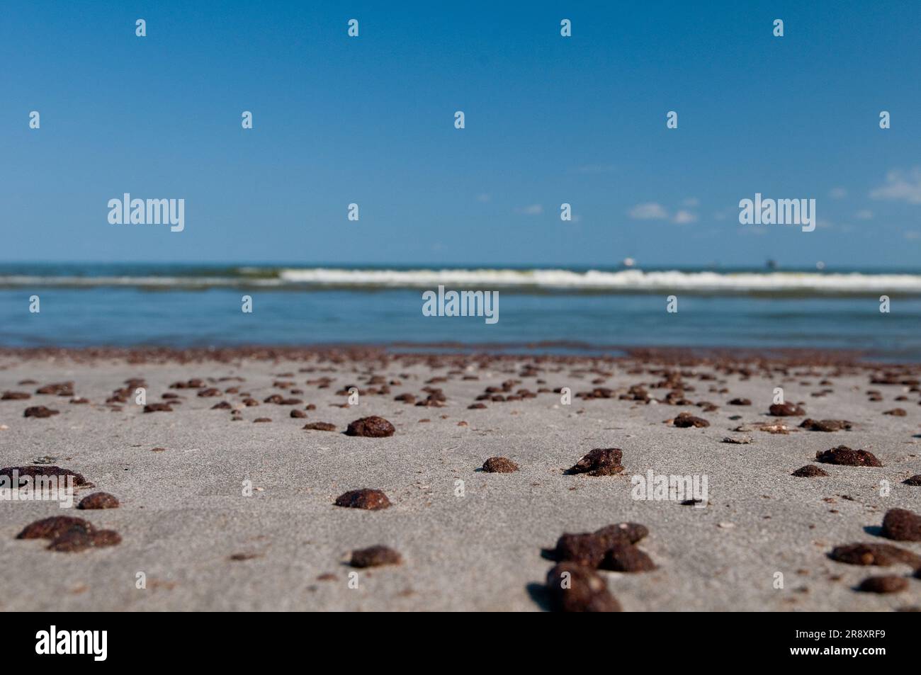Tar balls on the beach of Grand Terre Island Stock Photo - Alamy