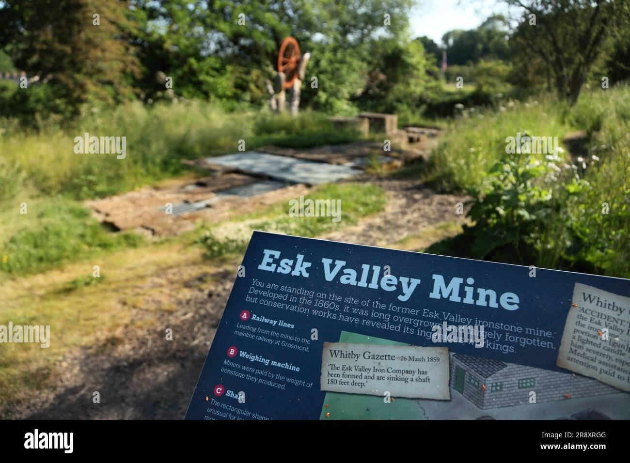 Site of the small-scale abandoned Victorian Esk Valley / Holme House ...