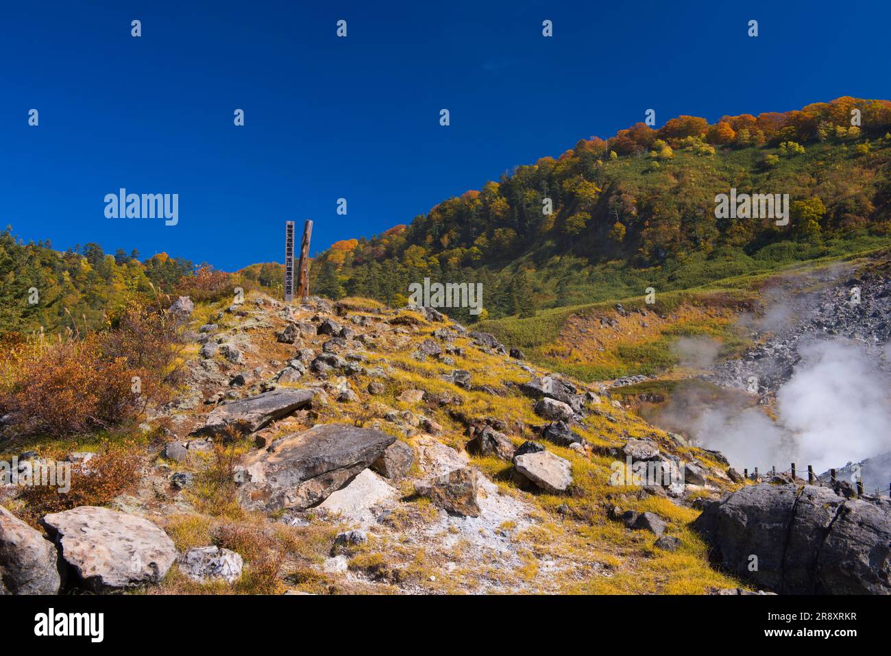 Beitou stone at Tamagawa Onsen Stock Photo - Alamy