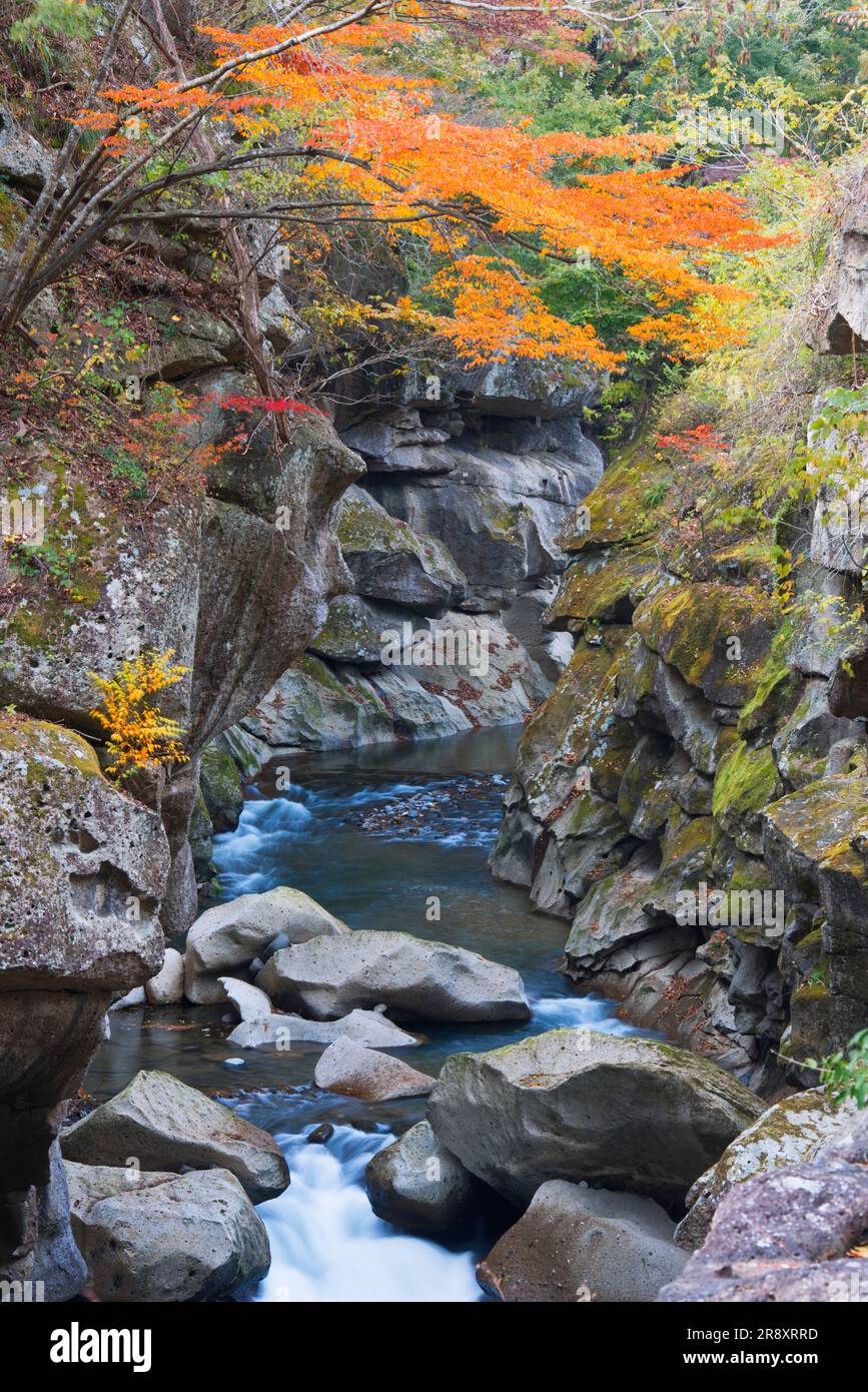 Sendai japan autumn hi-res stock photography and images - Alamy