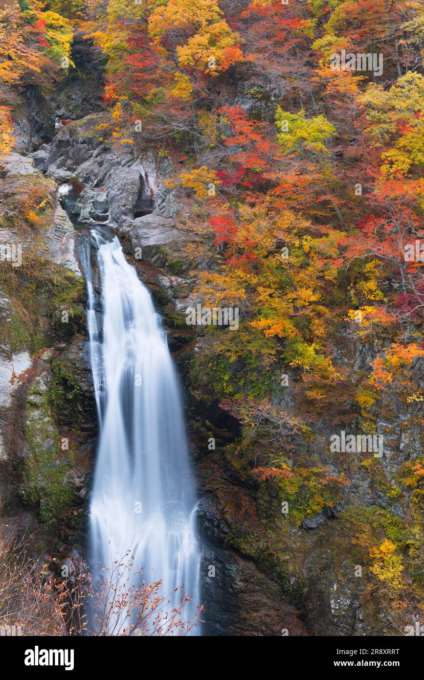 Akiu Great Falls in Autumn Leaves Stock Photo - Alamy
