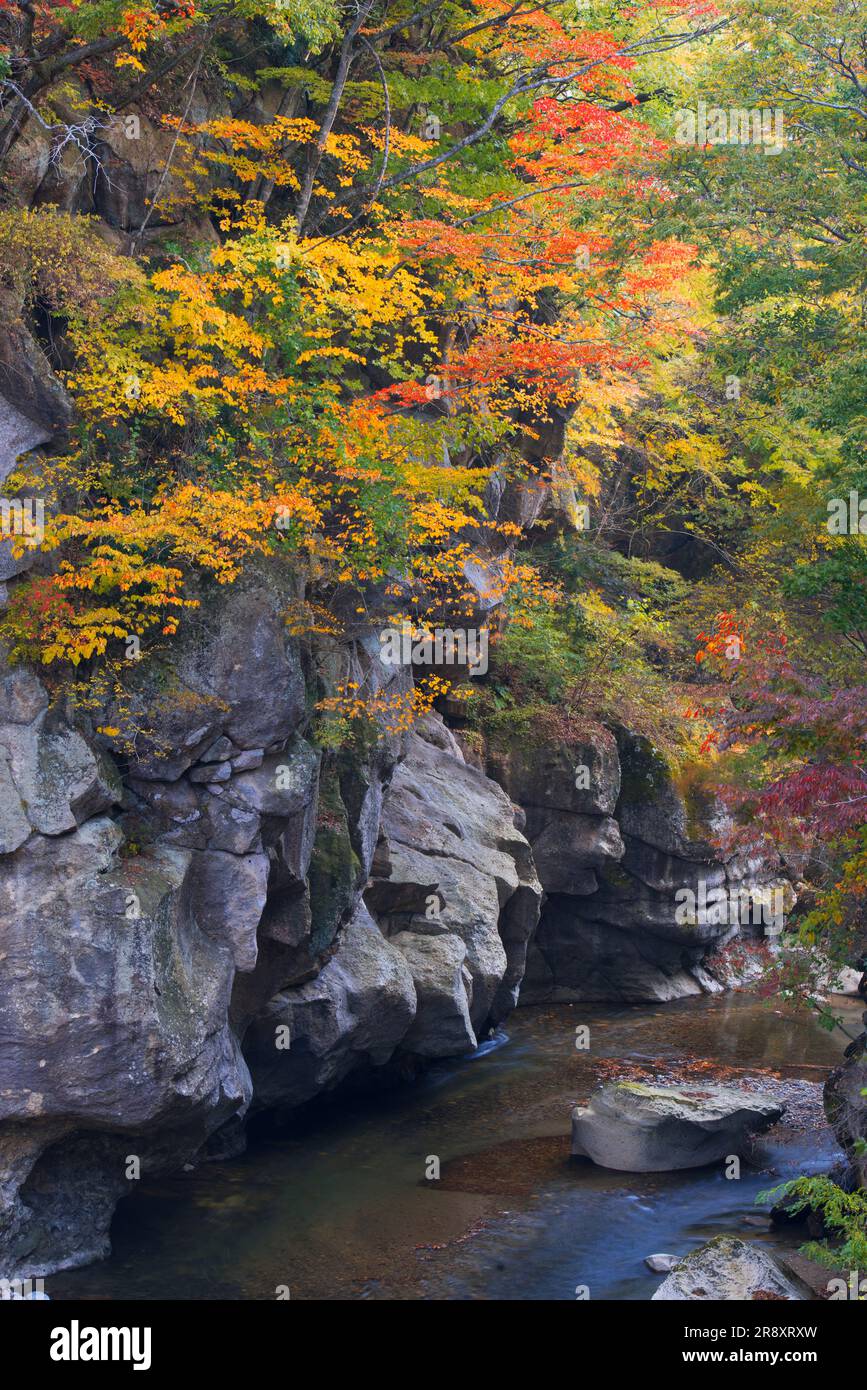 Sendai japan autumn hi-res stock photography and images - Alamy