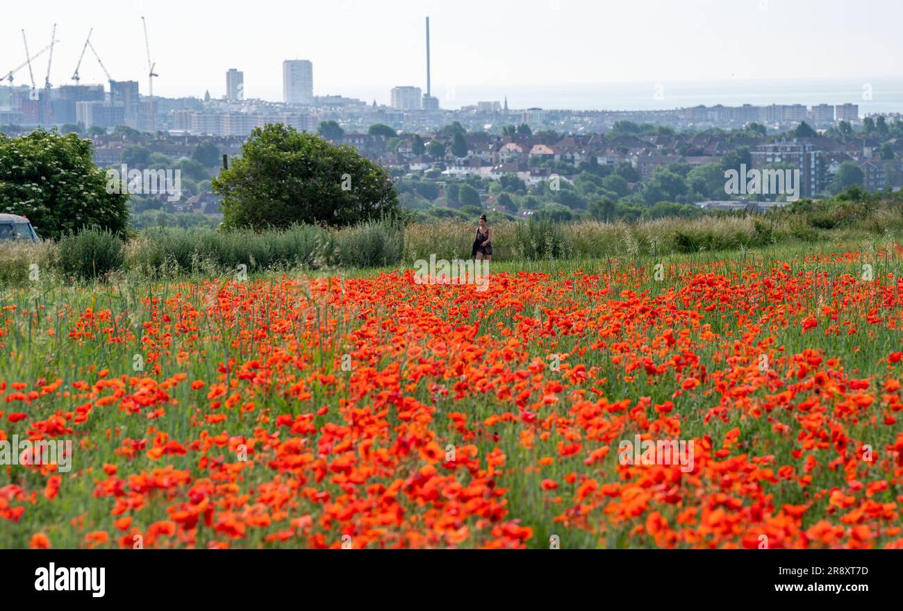 Portslade hi-res stock photography and images - Alamy