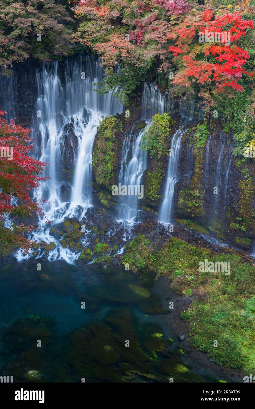 Shiraito waterfalls in shizuoka hi-res stock photography and images - Alamy