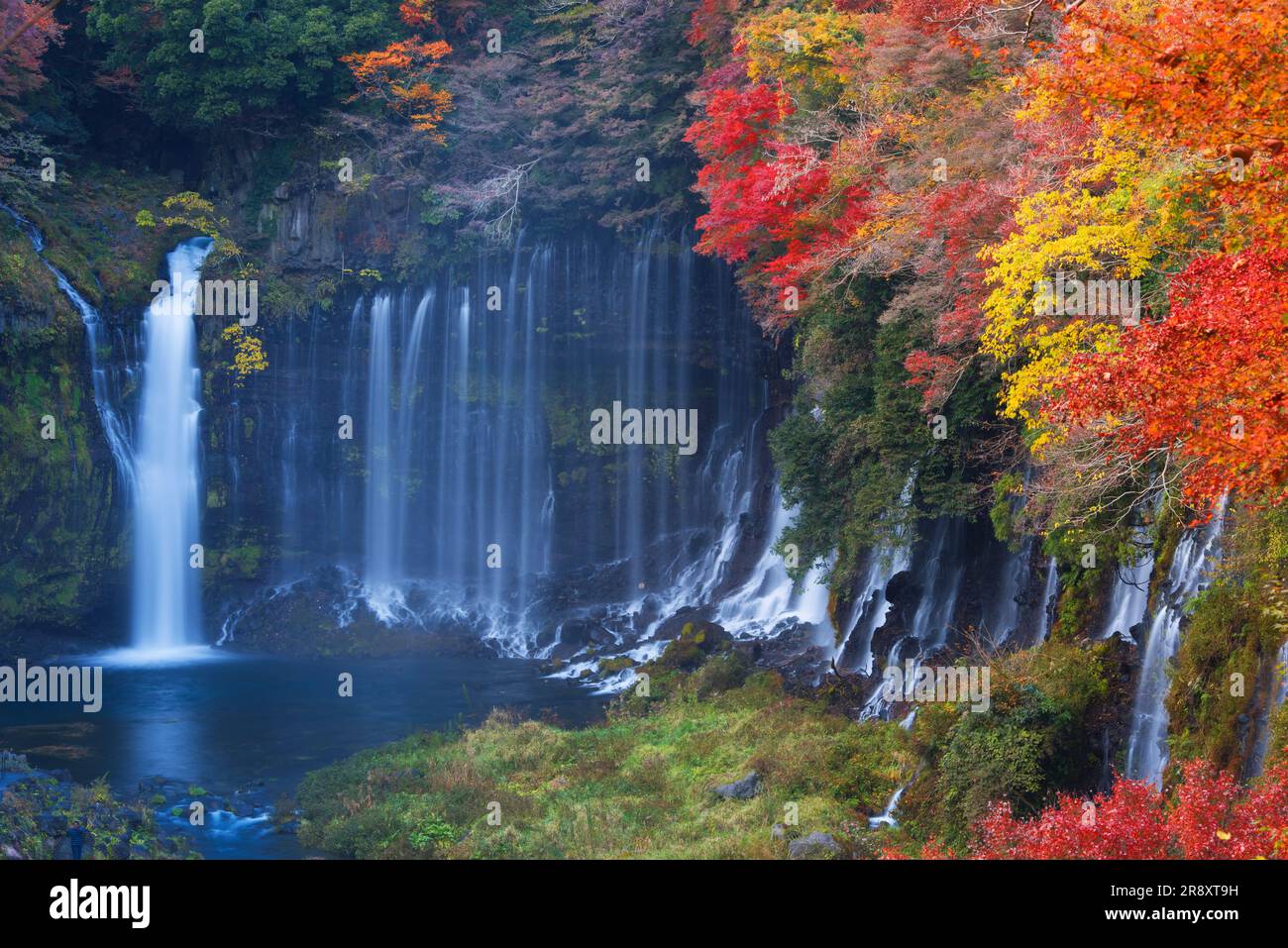 Shiraito waterfalls in shizuoka hi-res stock photography and images - Alamy