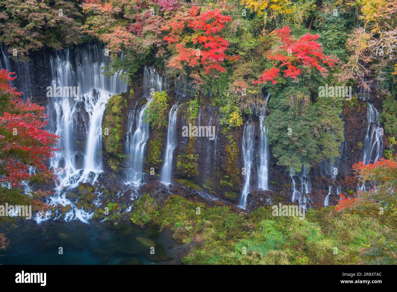 Shiraito Falls in autumn leaves Stock Photo - Alamy