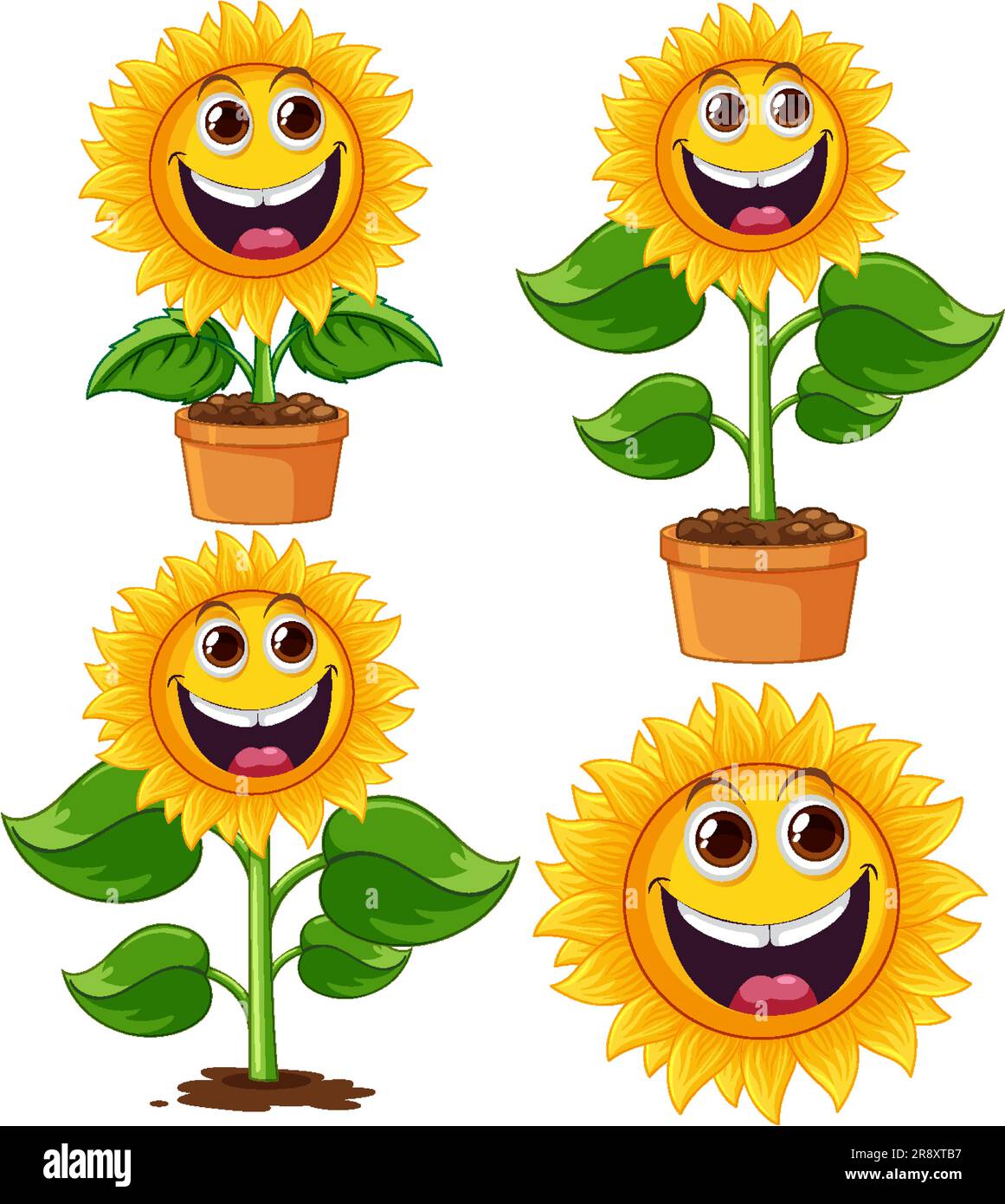 Sunflower plant in pot cartoon isolated illustration Stock Vector Image ...