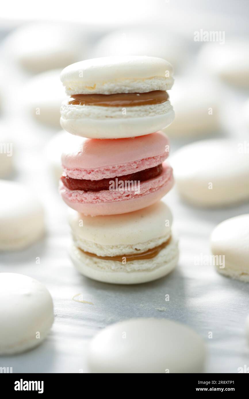 Image of macaroons hi-res stock photography and images - Alamy