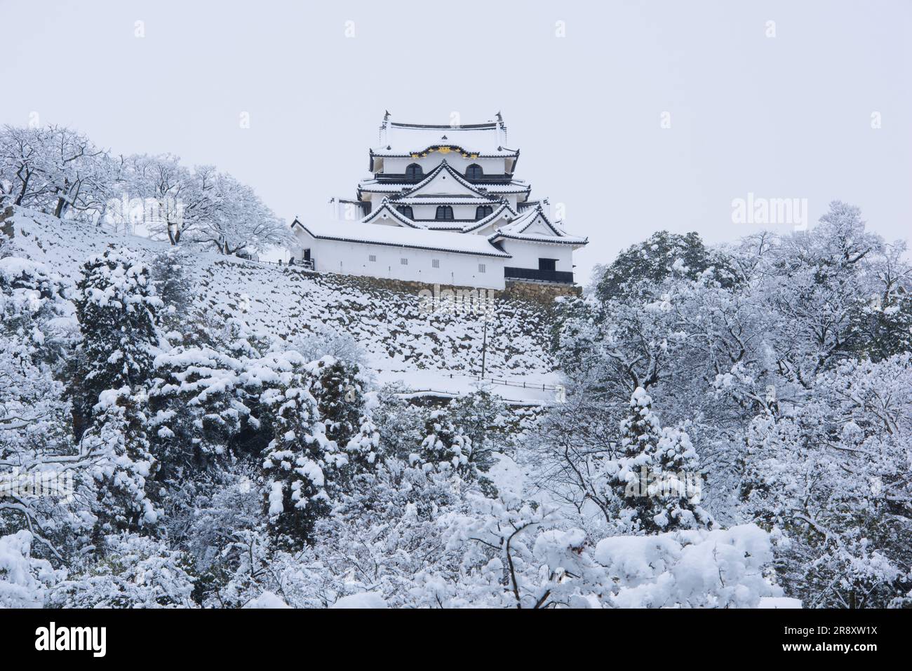 Japan winter castle hi-res stock photography and images - Alamy
