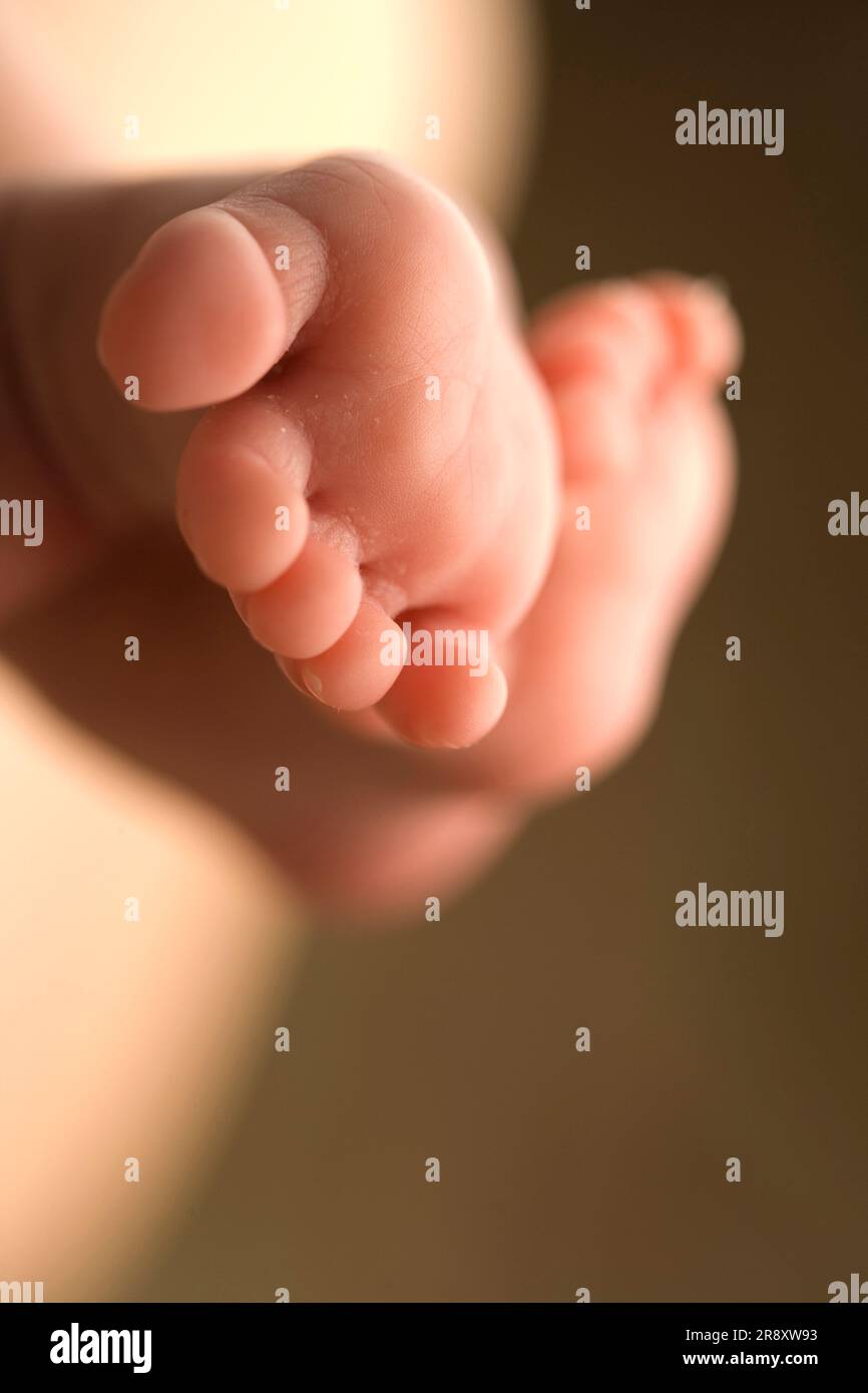 Infant feet up close Stock Photo - Alamy