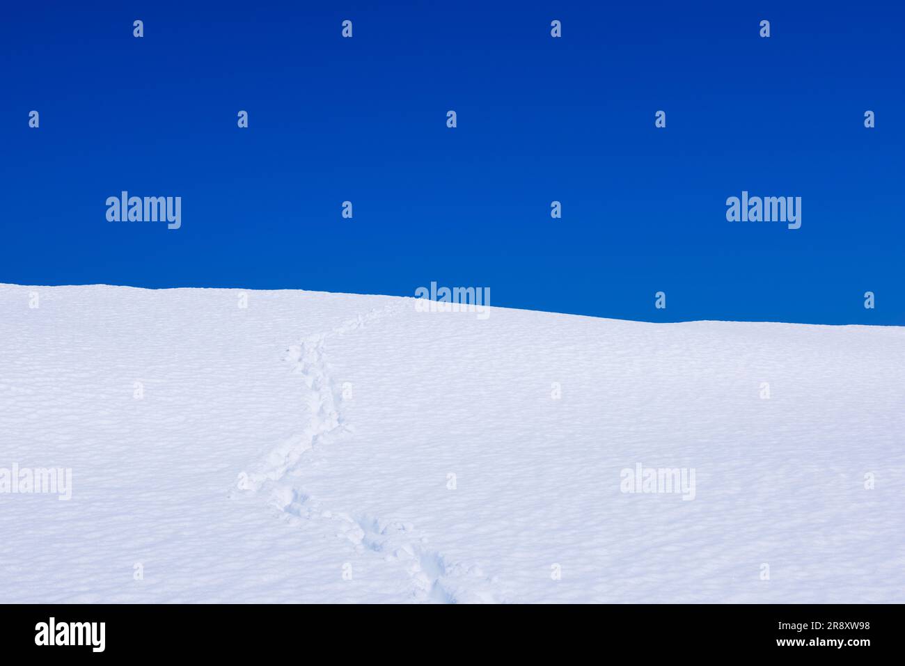 Tottori Sand Dunes in Winter Stock Photo - Alamy