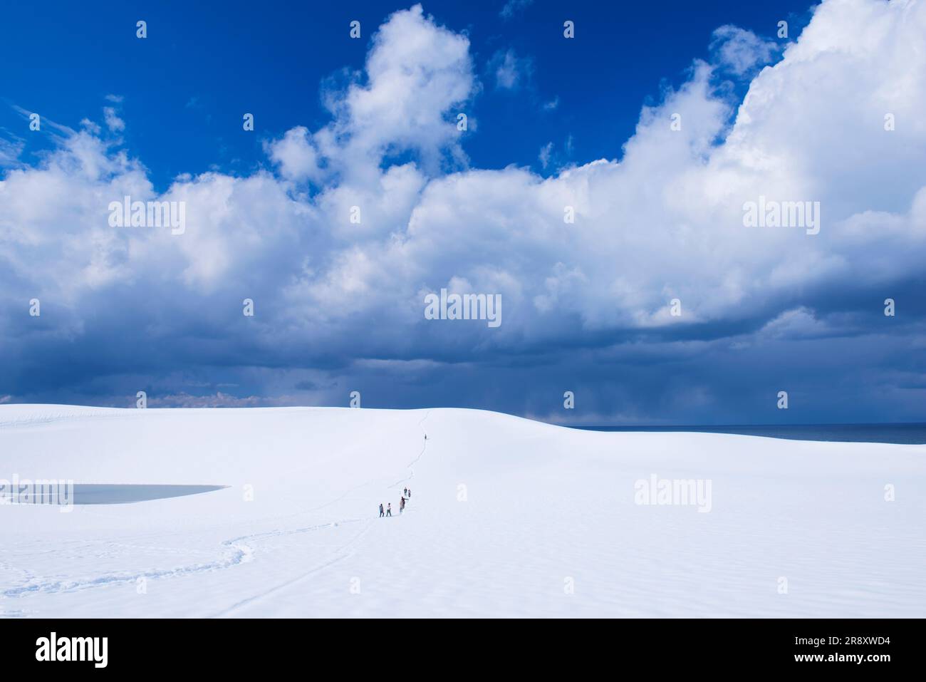Tottori Sand Dunes in Winter Stock Photo - Alamy