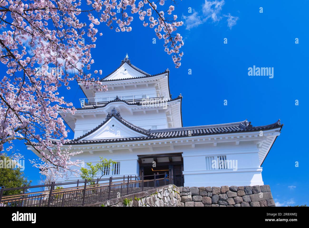 Odawara Castle in cherry blossom Stock Photo - Alamy