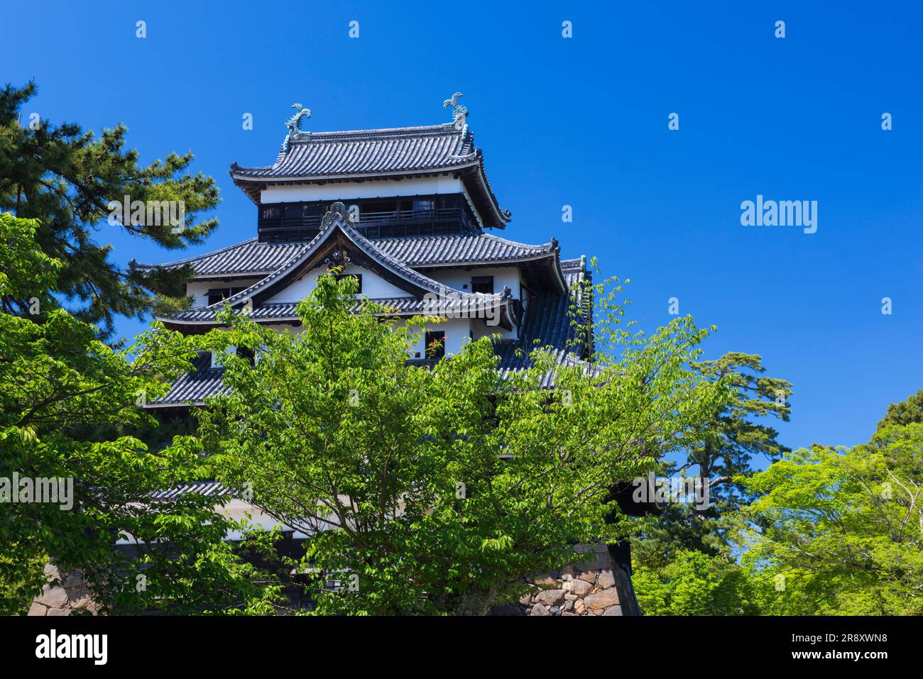 Matsue shimane castle hi-res stock photography and images - Alamy