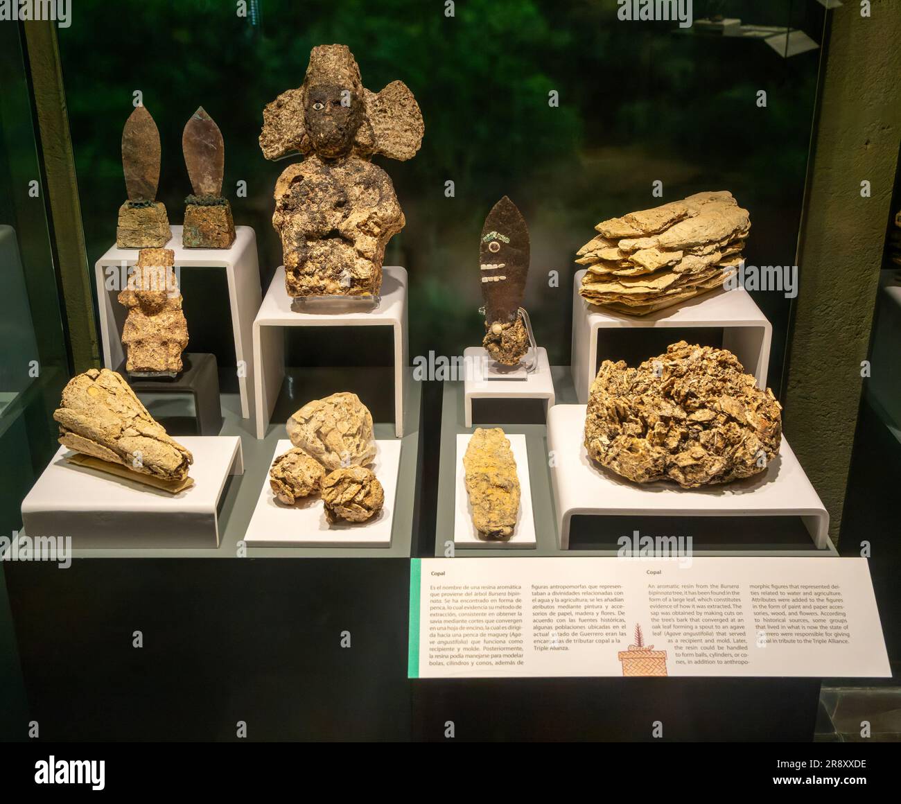 Display of Aztec artefacts made from copal resin, archaeological site ...