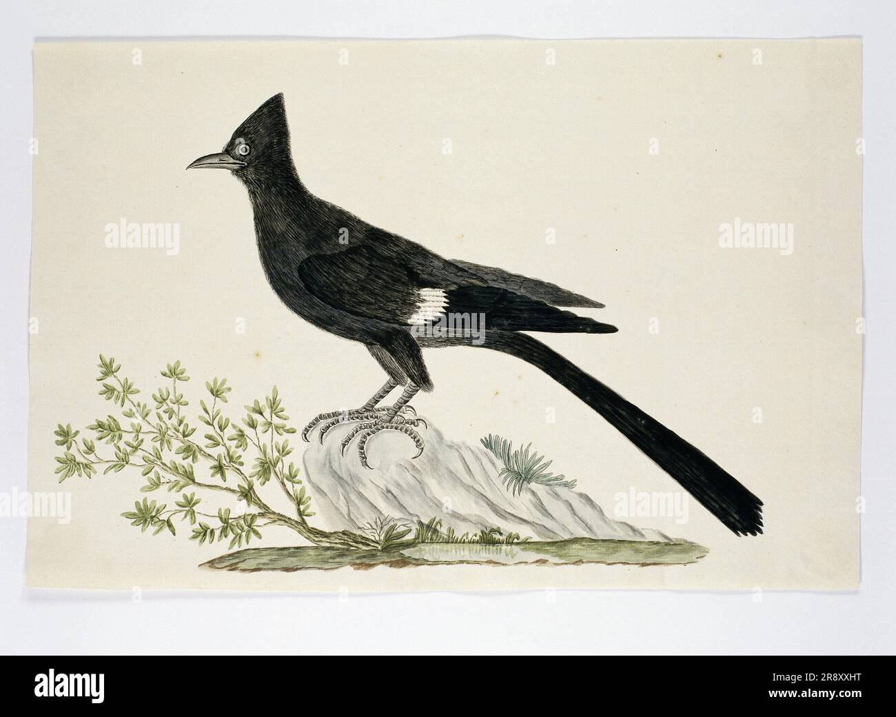 Cuckoo rocks hi-res stock photography and images - Alamy