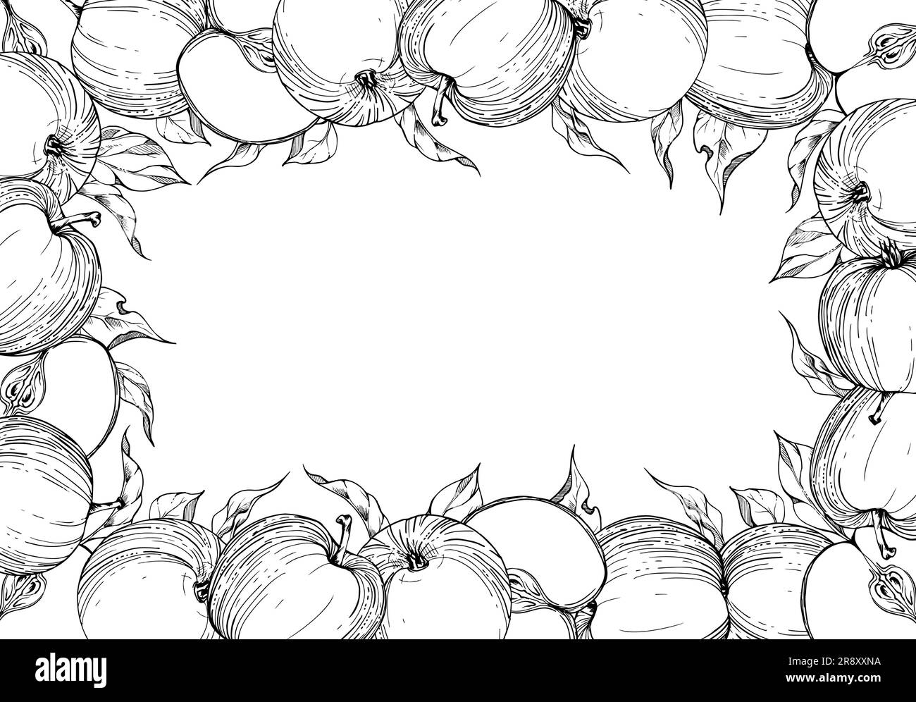 Hand drawn ink apple fruits, ripe full and slices, monochrome vector ...