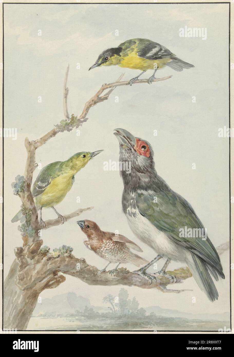 Four Different Birds on a Branch, c.1730-c.1792. According to the ...