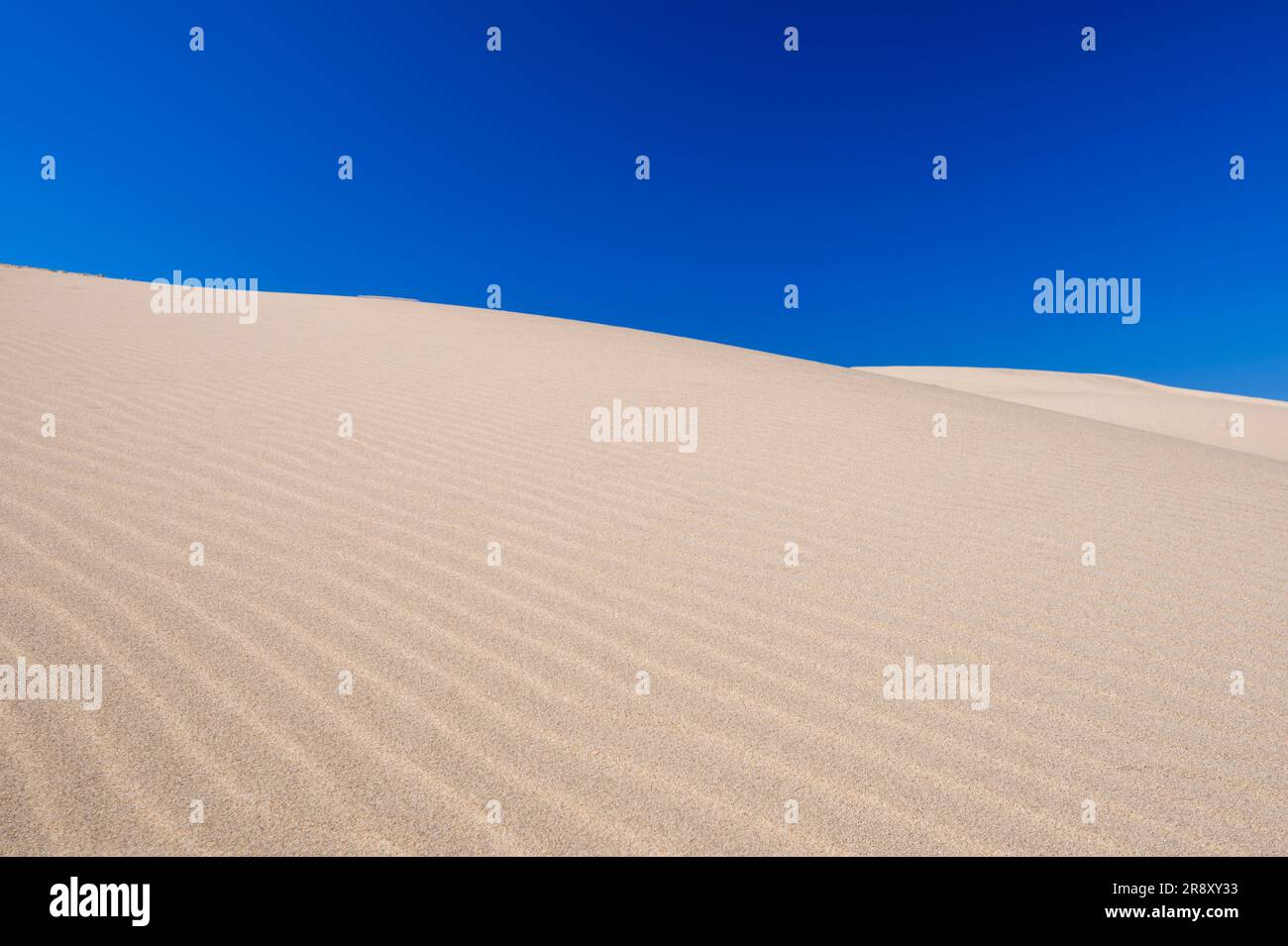 Tottori Sand Dunes Stock Photo - Alamy